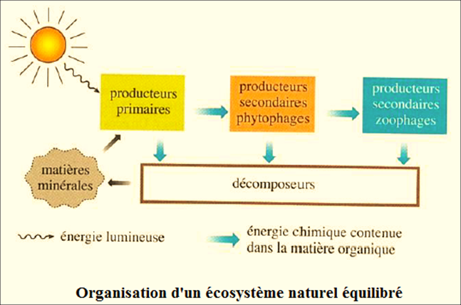 Informations du cours | Production végétale | E-LEARNING